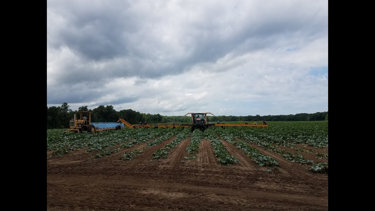 GVF 8200 Harvest Aid - YouTube