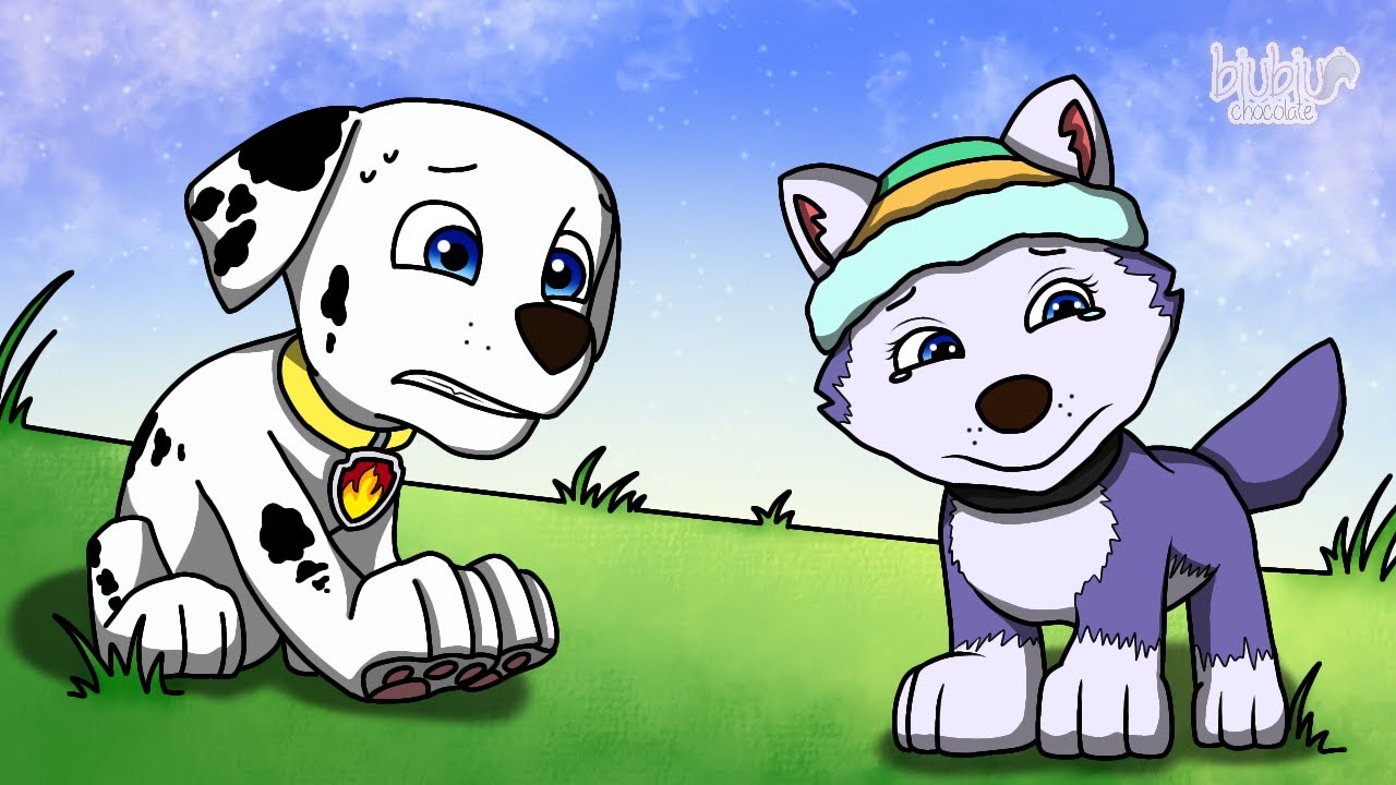 Marshall x Everest Sad Moment Because The Necklace has Gone - Paw ...