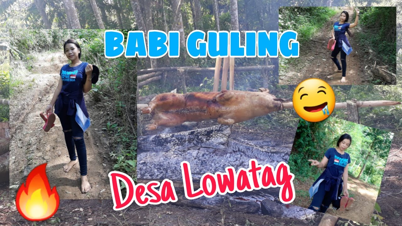 Perkebunan Desa LOWATAG, MITRA | BABI GULING (babi putar ...