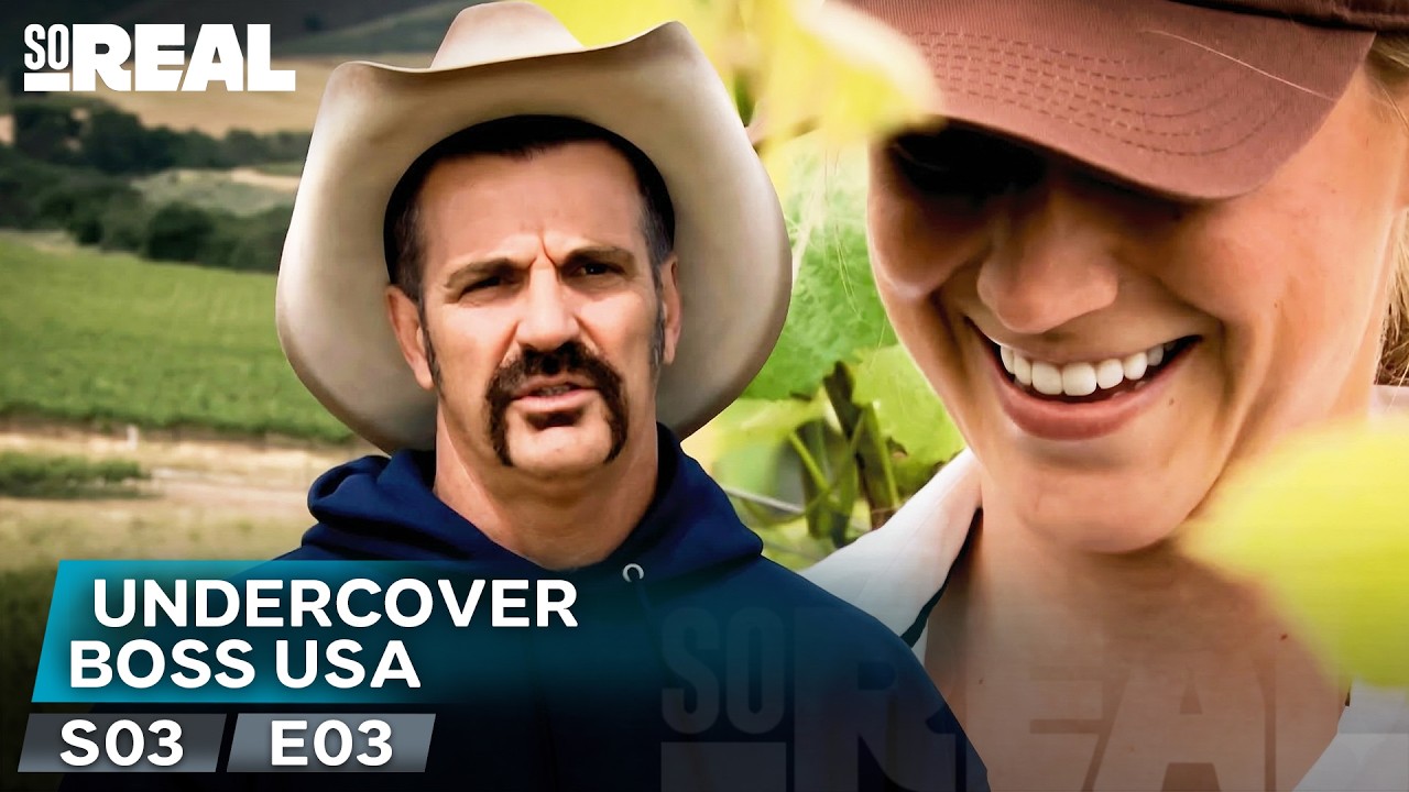 What Happens At A Top Wine Company? | FULL EPISODE | S3 E3 | Undercover ...