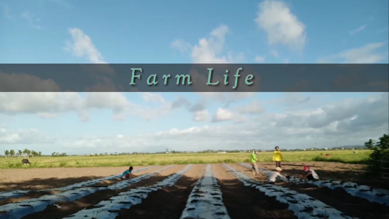 Intro || Farm Life - YouTube