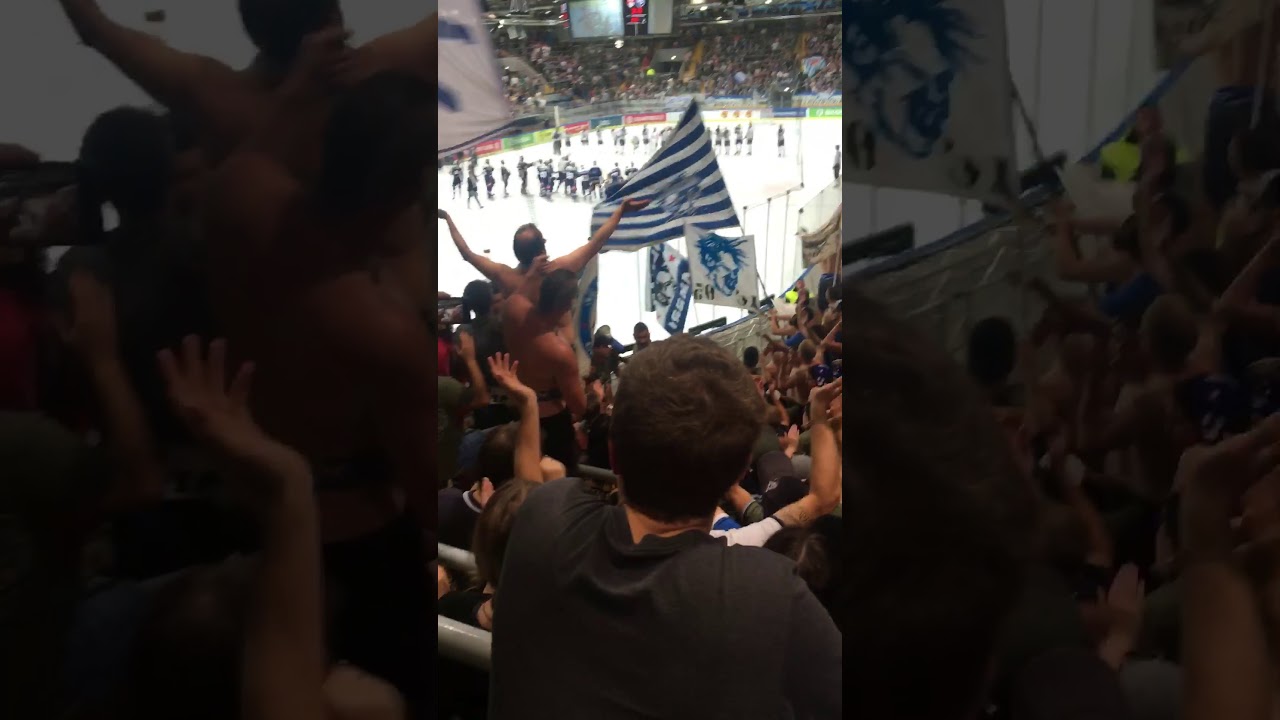 curva sud ambri - YouTube