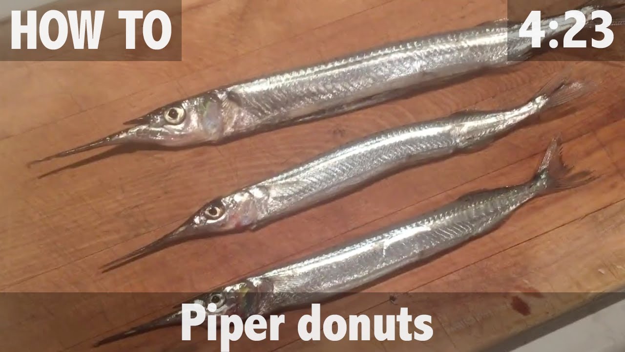 Piper Doughnuts - YouTube