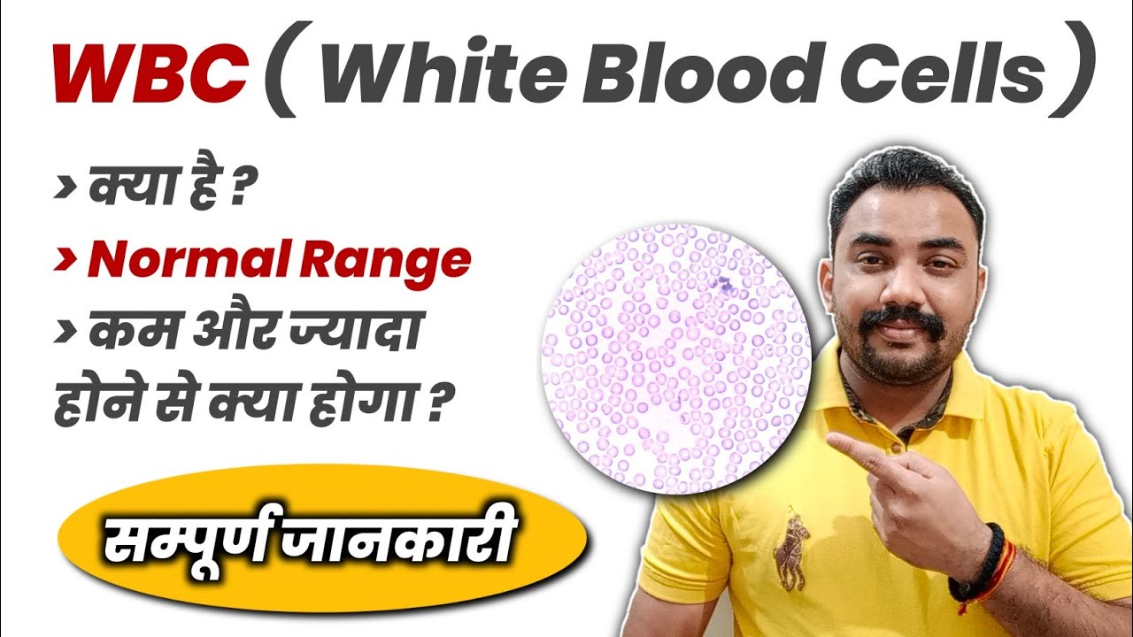 WBC क्या है? | Normal Range क्या है? | High WBC और Low WBC से कया होता ...