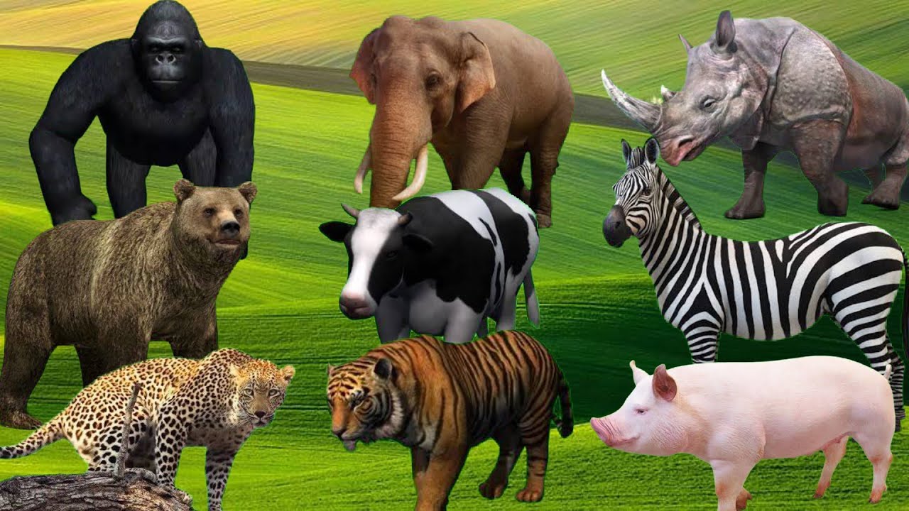 CUTE LITTLE ANIMALS: Elephant, Cow, Swan, Duck, Cat, Dog, Gorilla, Frog ...
