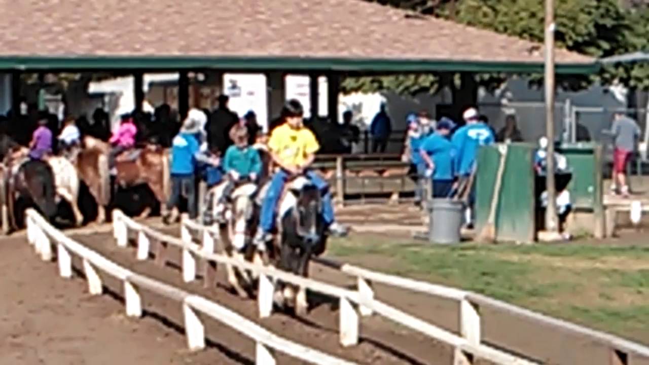 Things to Do in Los Angeles - Griffith Park Pony Rides - YouTube