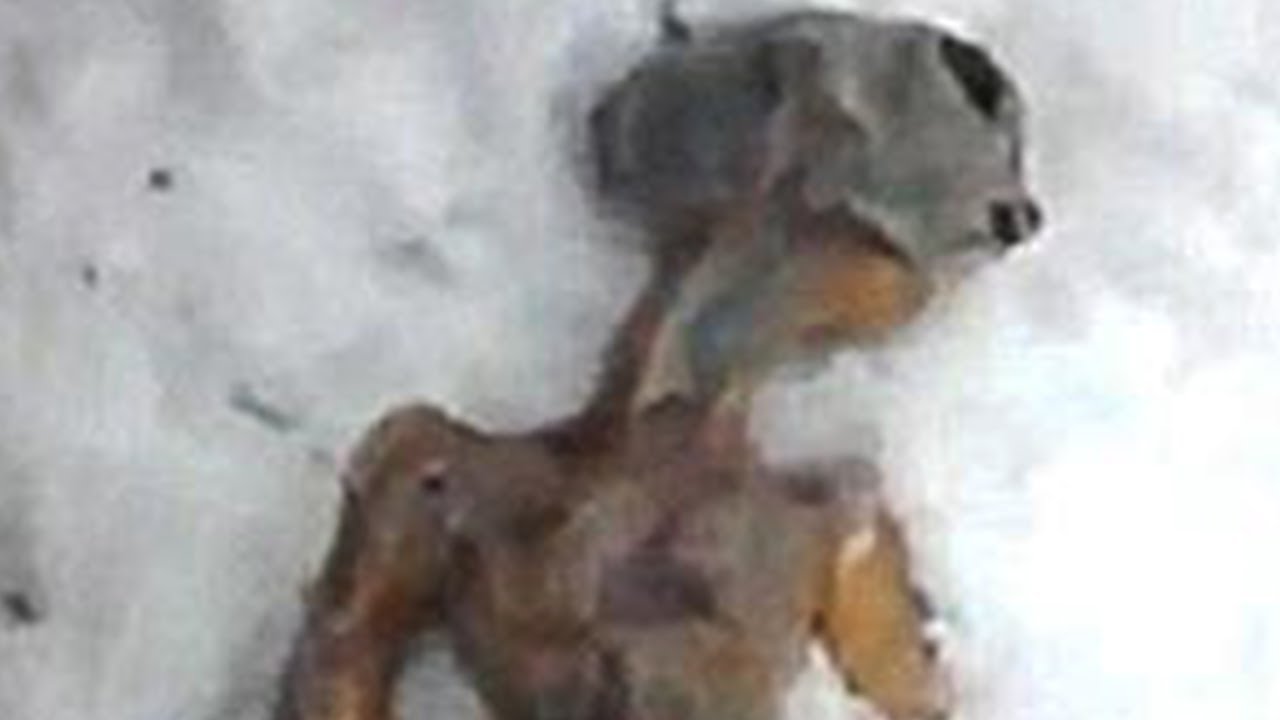 Frozen ALIEN Corpse Found Buried In Snow - YouTube