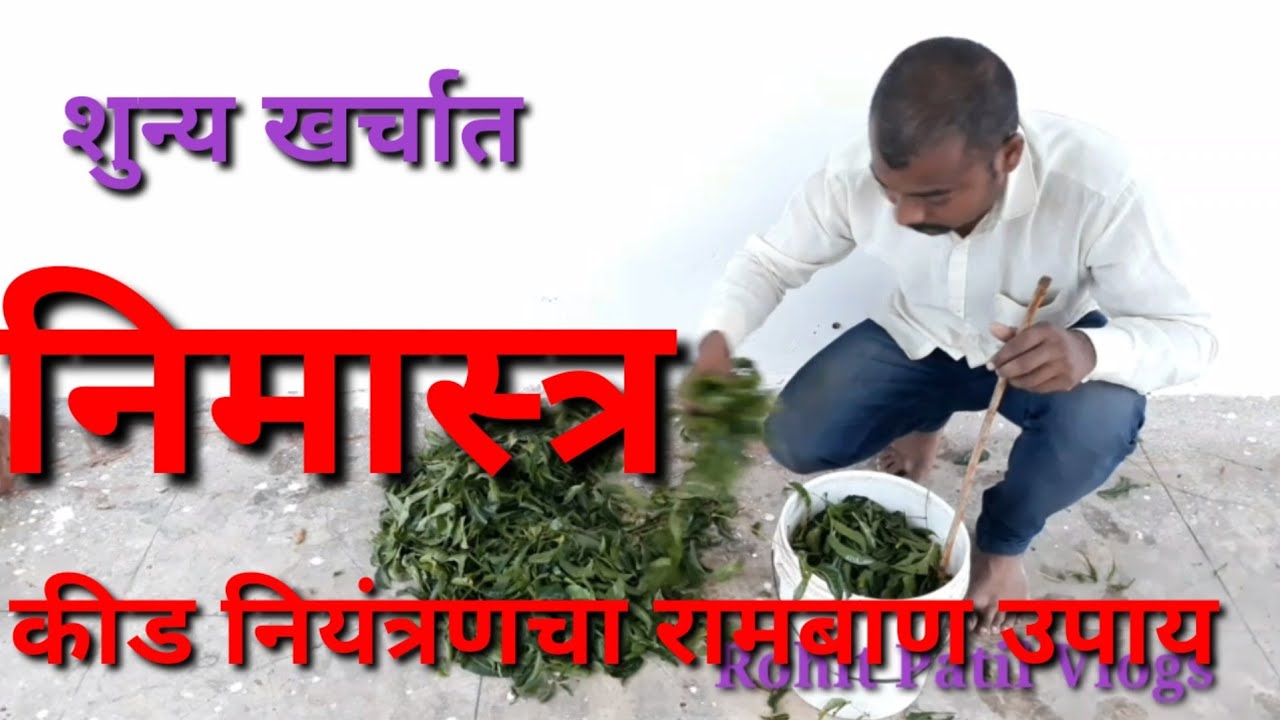 निमास्त्र | Nimastra किड नियंत्रणा चा रामबाण उपाय #सेंद्रीयशेती - YouTube