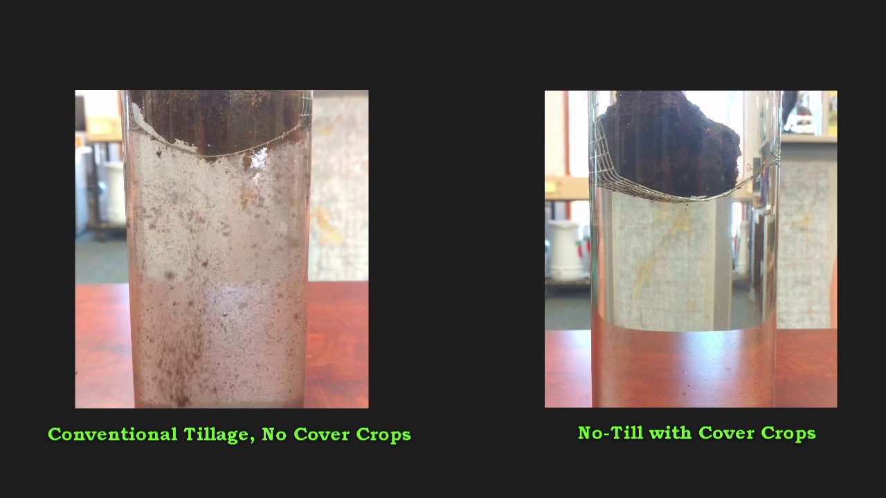 Soil Slake Test - Elkhart County, IN - YouTube