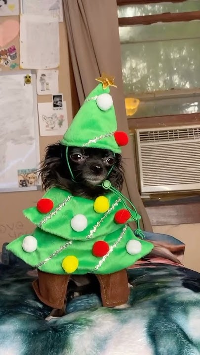 Christmas Tree Puddin 🎄😱 - YouTube