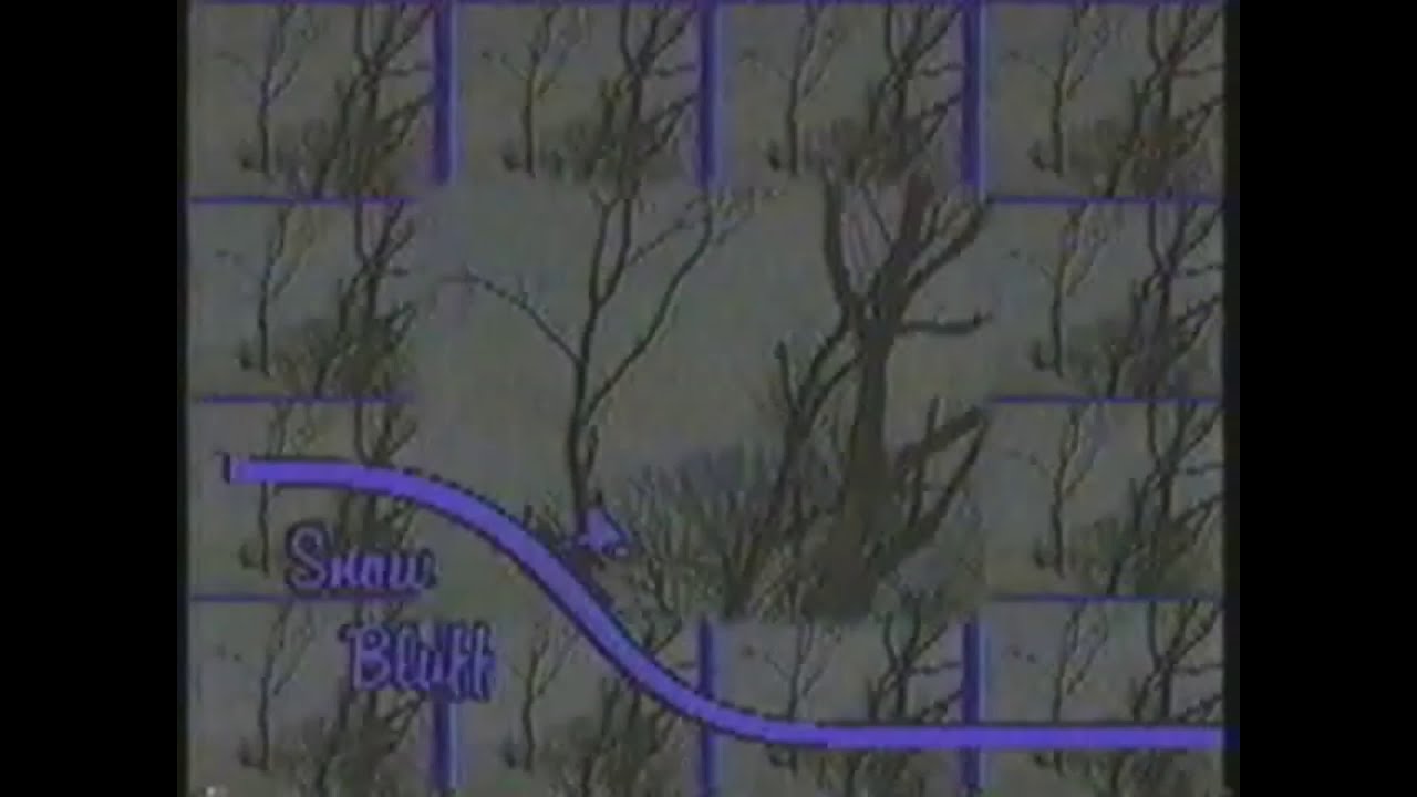 Snow bluff Ski Missouri Brighton, MO - YouTube