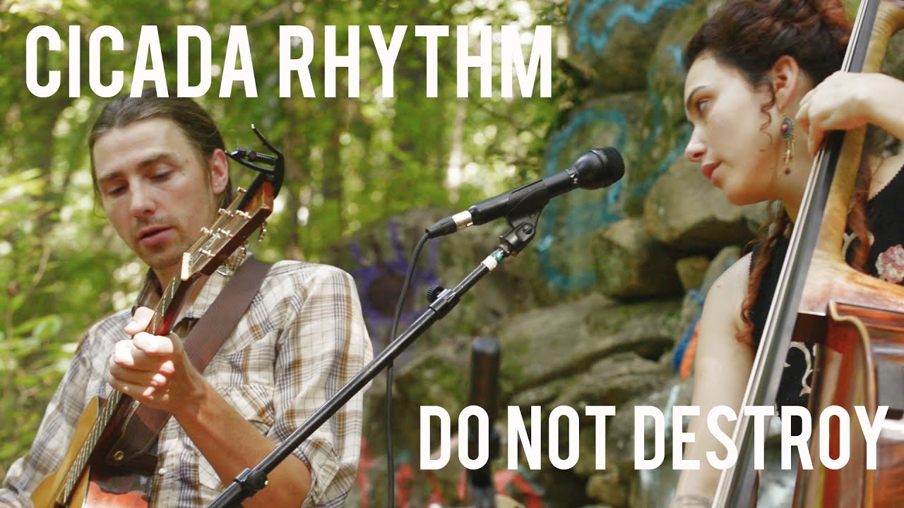 Cicada Rhythm: Do Not Destroy - YouTube
