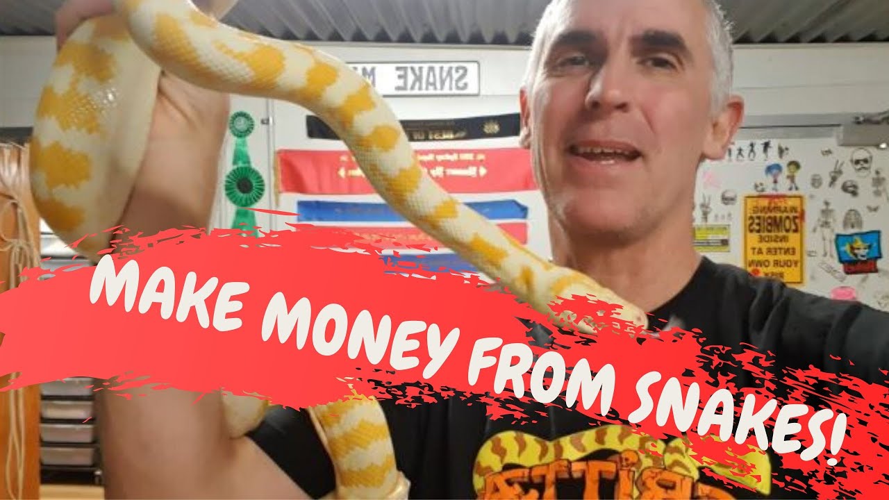 MAKE MONEY FROM SNAKES - CrittaCam - YouTube