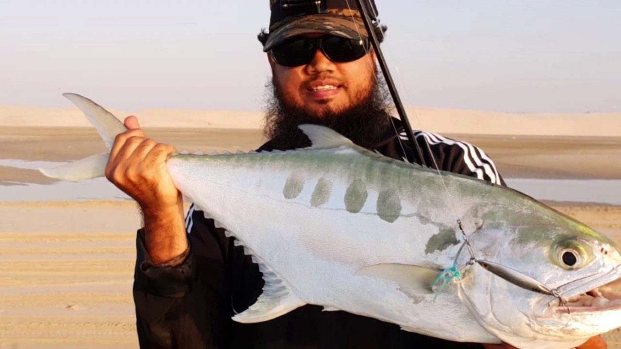 Fishing in Qatar at InlandSea, Qatar - Shore Jigging - Queen Fish - 12 ...