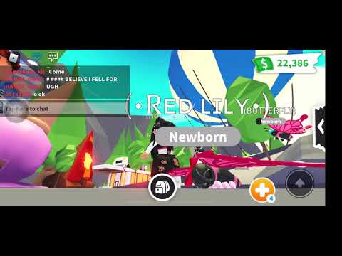 2021 Uplift butterfly is here 🦋| adopt me video - YouTube