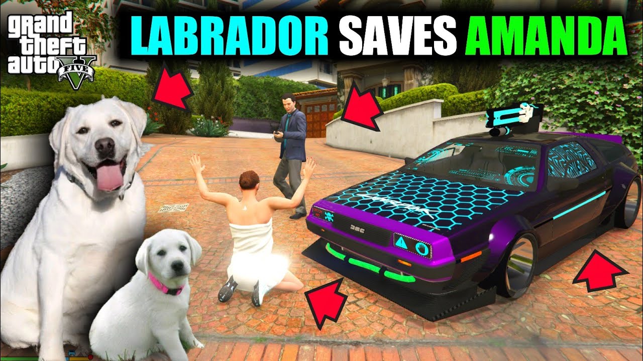 GTA 5 : Labrador cute Dog Pet Saves Amanda From Mafia Gang In GTA V ...