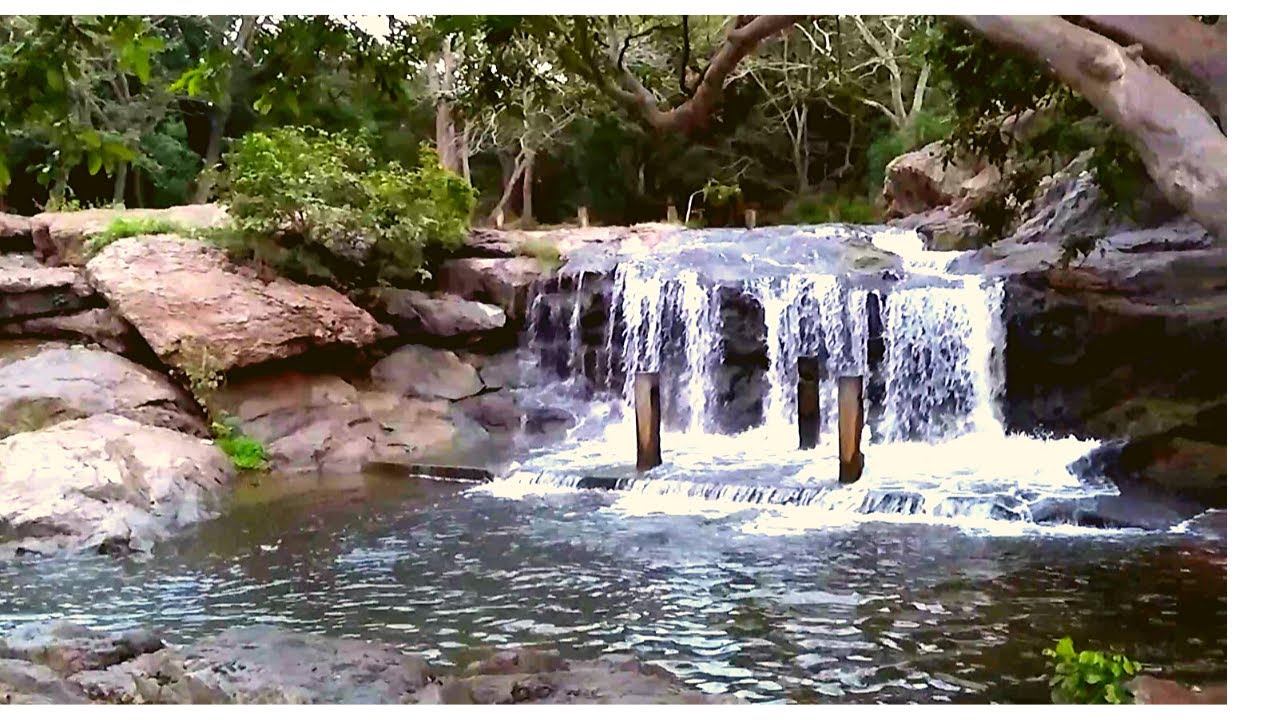Beeman waterfall | Jawadhu Hills-Jamunamarathur | பீமன் நீர்வீழ்ச்சி ...