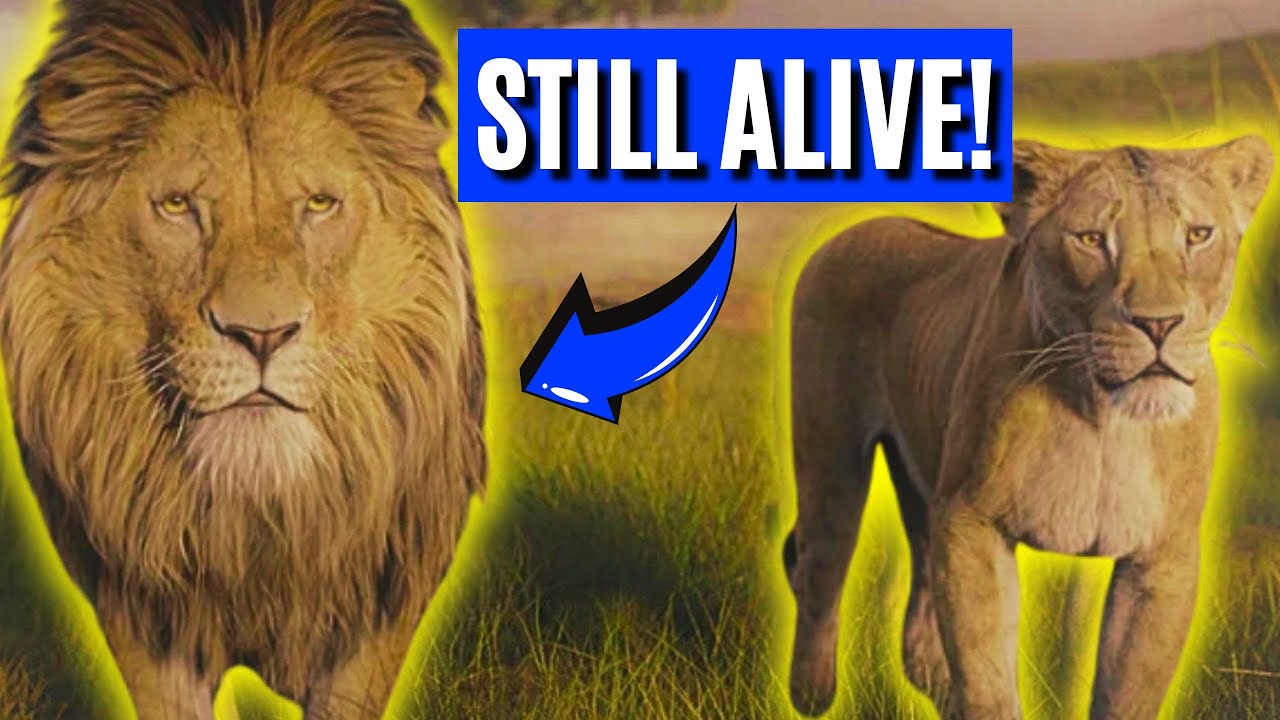 PROOF SCAR’S PARENTS SURVIVED KIROS’ ATTACK - YouTube