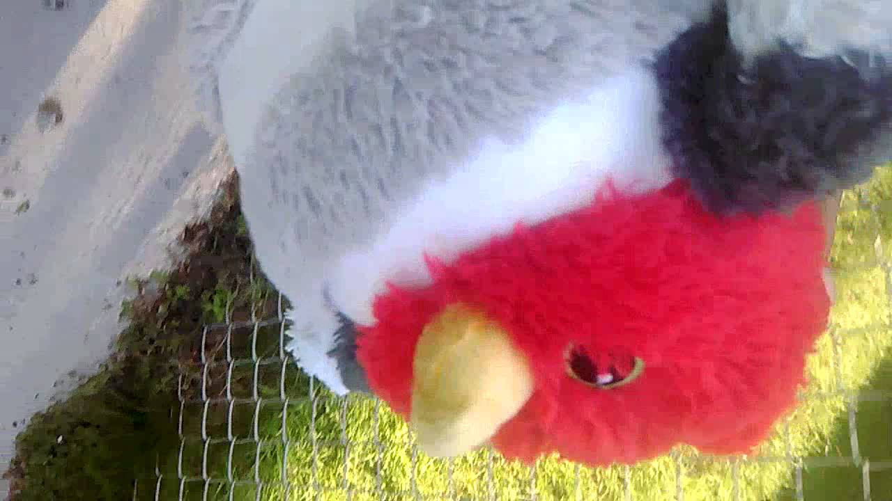 Adventure Part 1 Youtube
