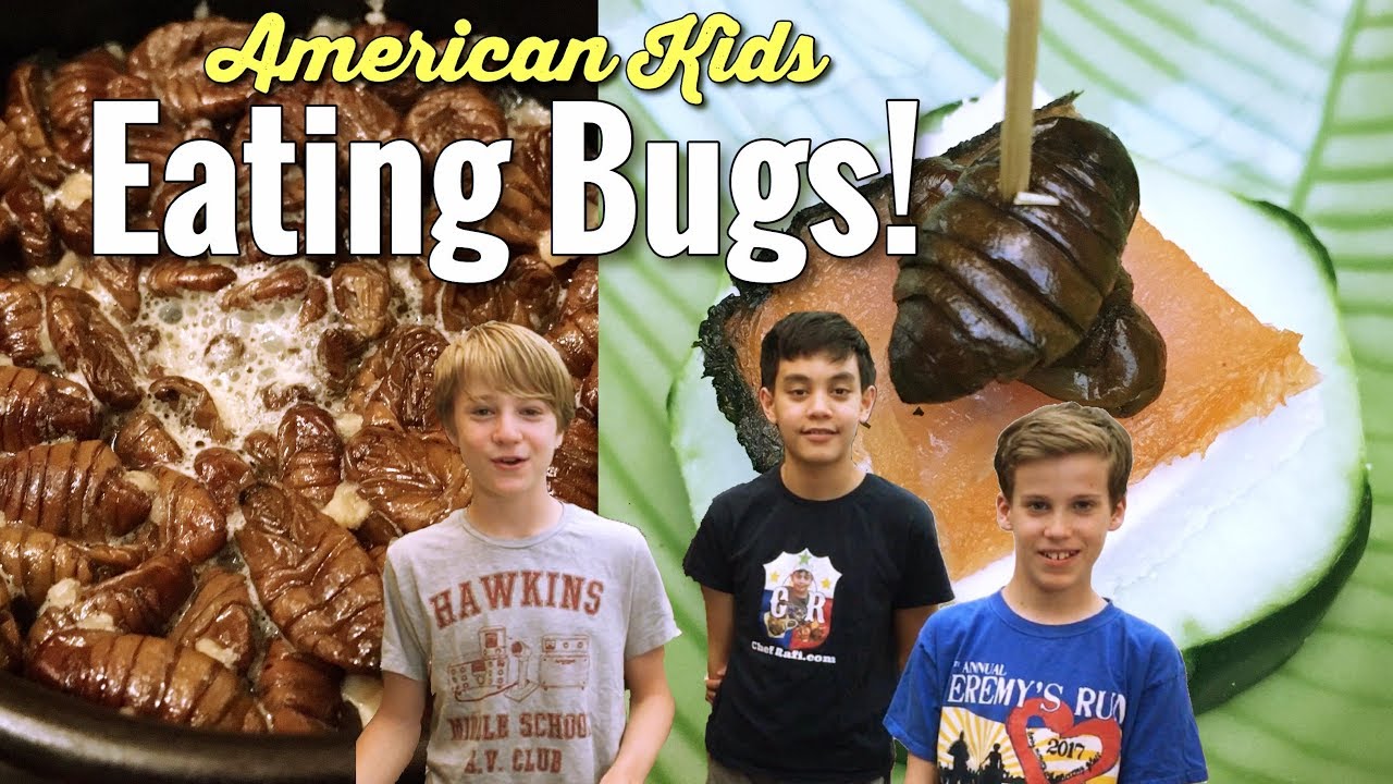 American Kids Eating Bugs (Silkworm Pupae Canapes) - YouTube
