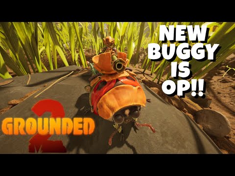 TESTING OUT NEW LADYBUG BUGGY!! - YouTube