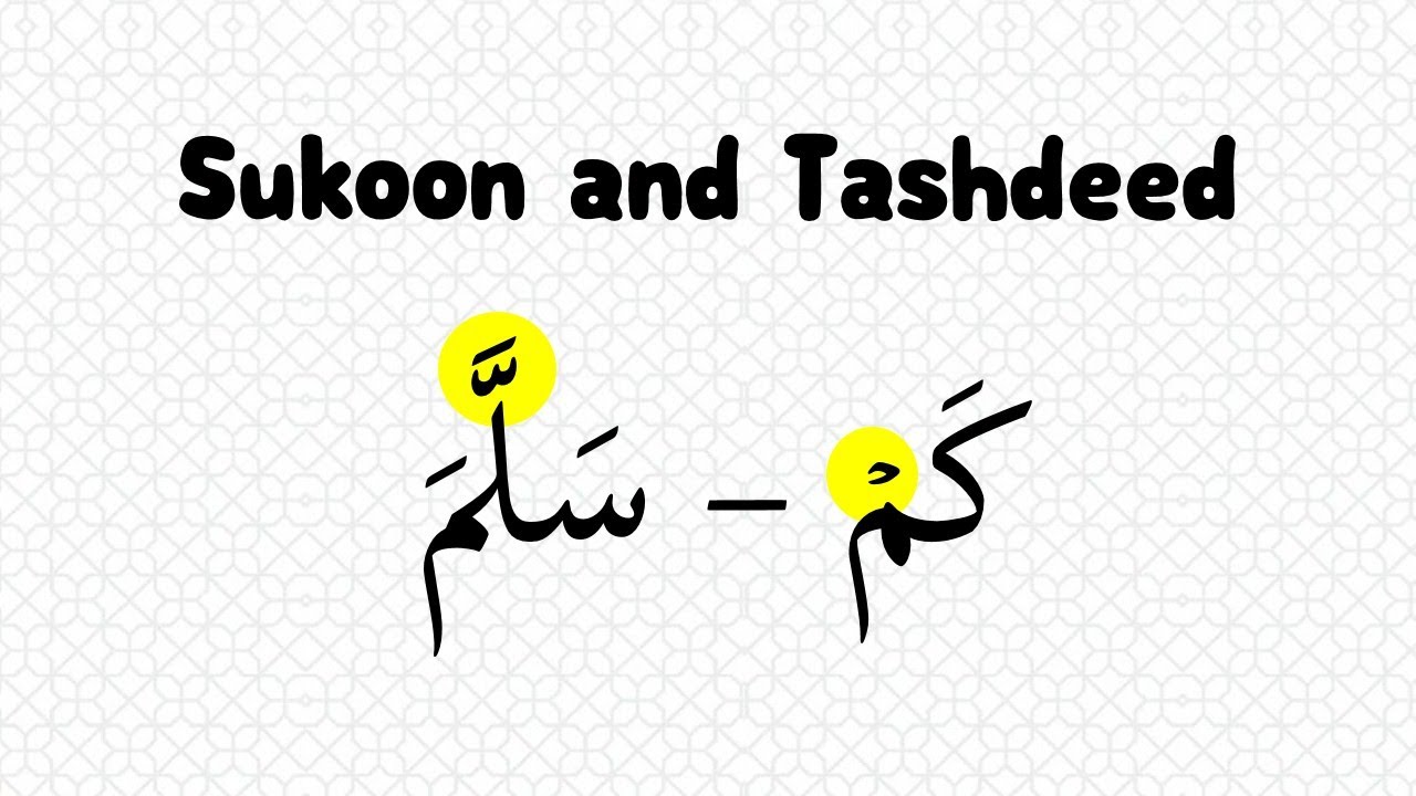 Learn Sukoon and Tashdeed in Arabic for Beginners - YouTube