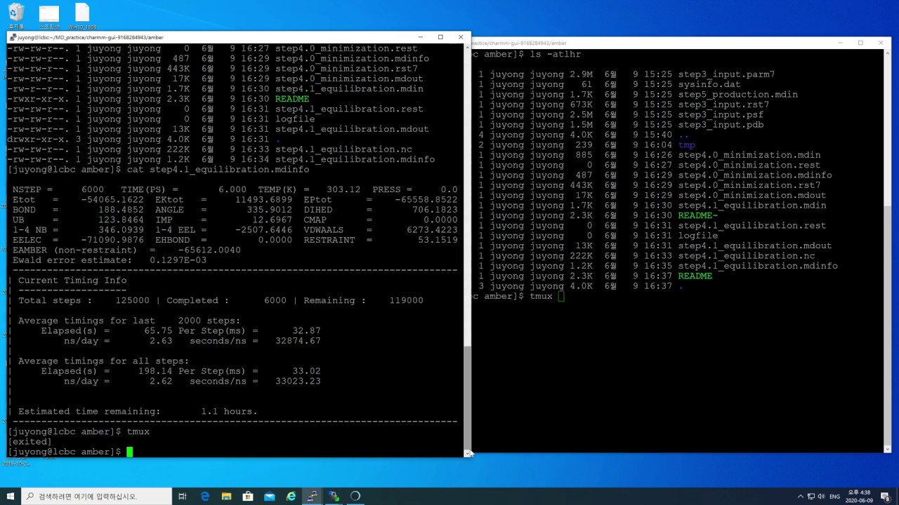 Amber와 CHARMM-GUI를 이용한 분자동역학 계산6 - YouTube