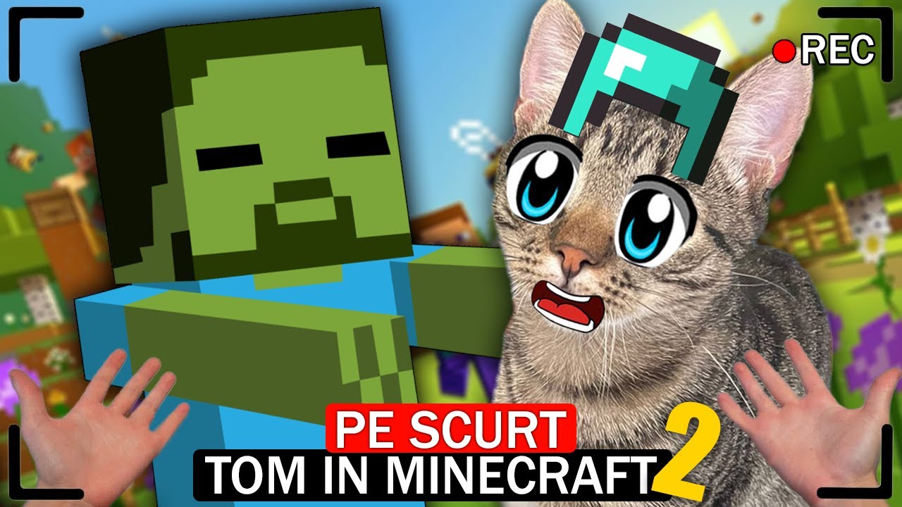 PE SCURT, TOM IN MINECRAFT 2 - YouTube