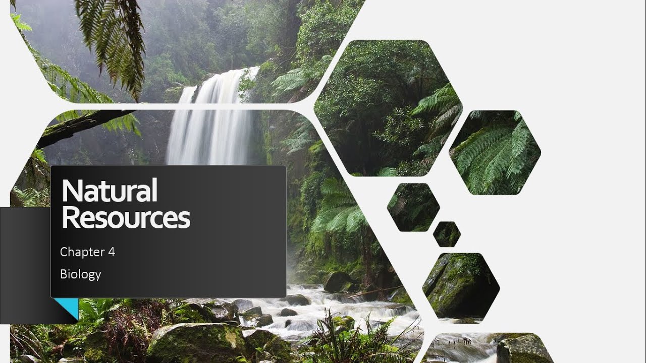 natural resources class 9 - YouTube