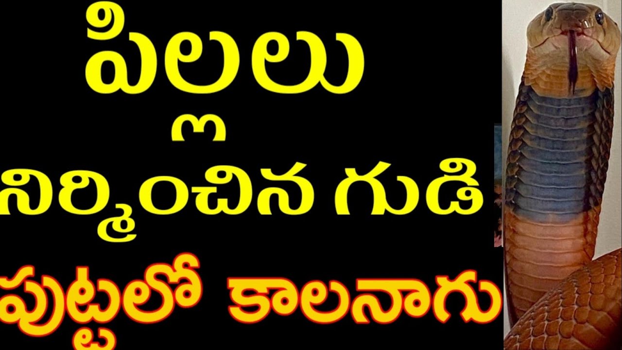 Bala Narasimha Swami Temple,Chityala by Desham Devalayam - YouTube