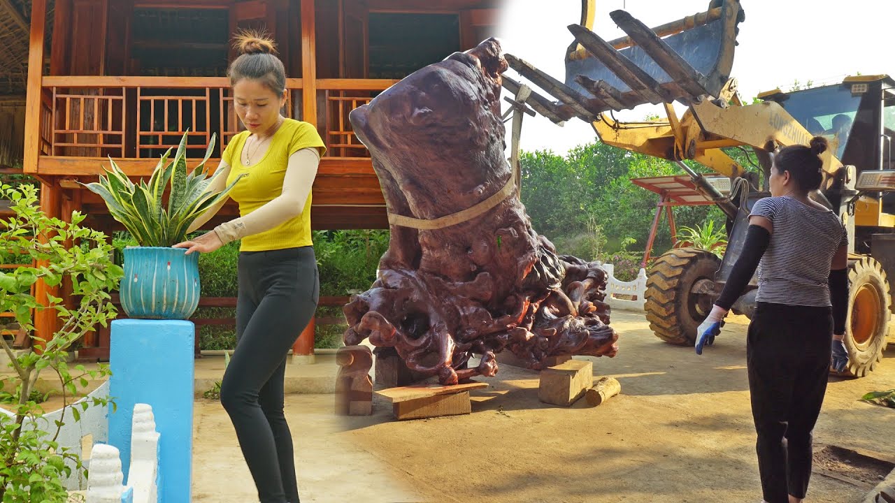 How To Turn Large Tree Stump into a work of art, Repaint the concrete ...