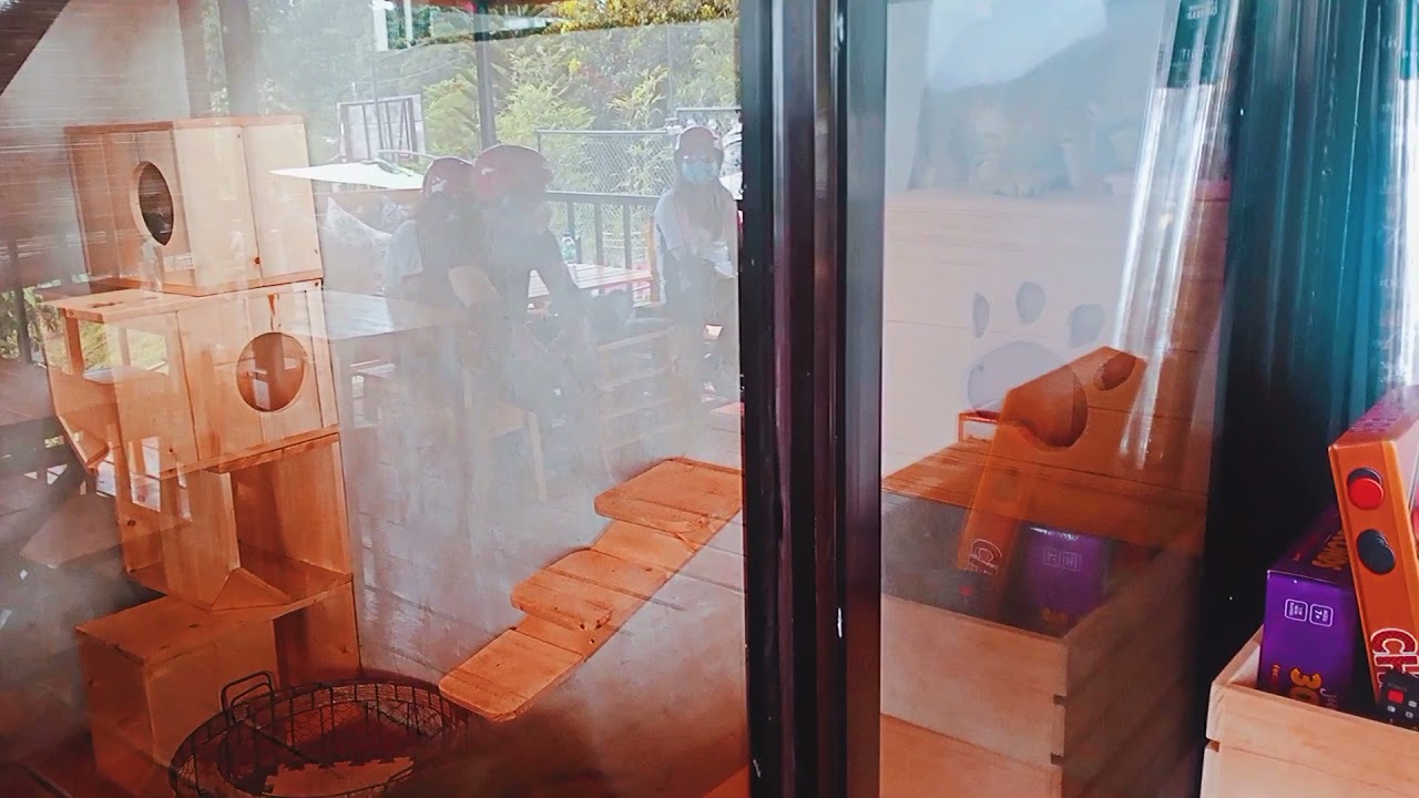 LITTLE BAGUIO Sapinit Road Antipolo City | Sierra Madre TANAY ...