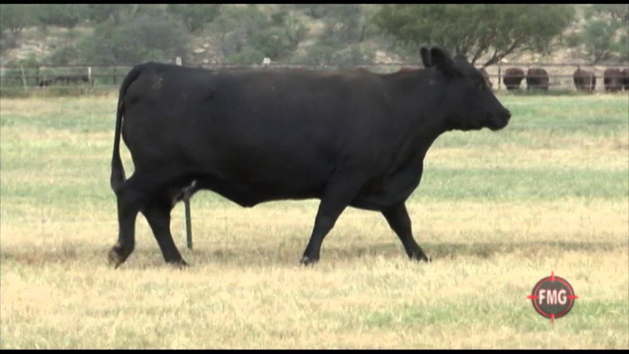 LOT 1465 RA Brown Ranch - YouTube
