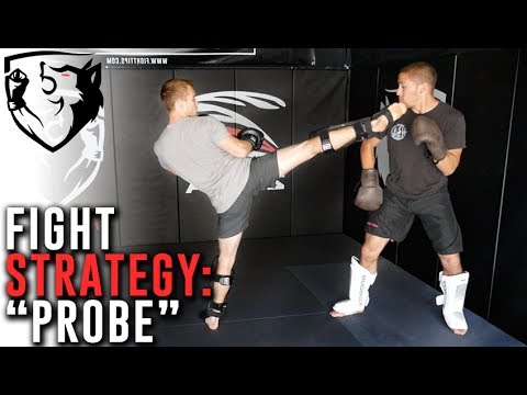 Muay Thai "Probe": Shane Fazen vs FaZe Sensei Sparring - YouTube