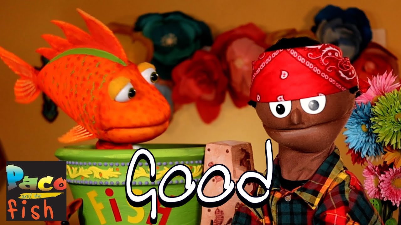 Paco & the Fish: Good - YouTube