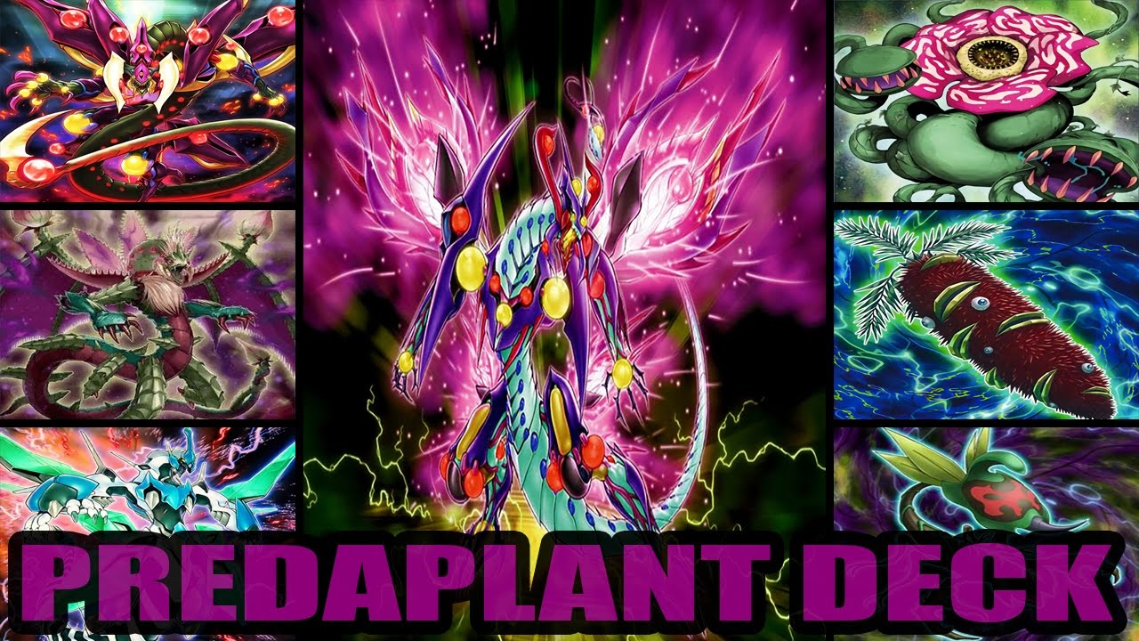 PREDAPLANT DECK | YGOPRO | TH3B4TMaN - YouTube