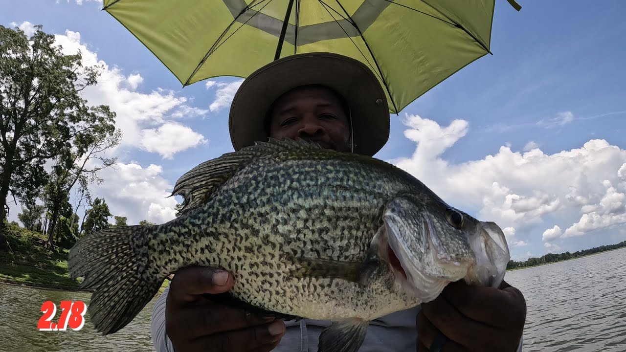 Key Areas! Tons Of MONSTER Crappie In Hot Summer Months - YouTube