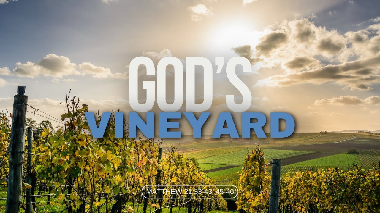 A Prayer for Cultivating God's Vineyard | Matthew 21:33-43, 45-46 - YouTube