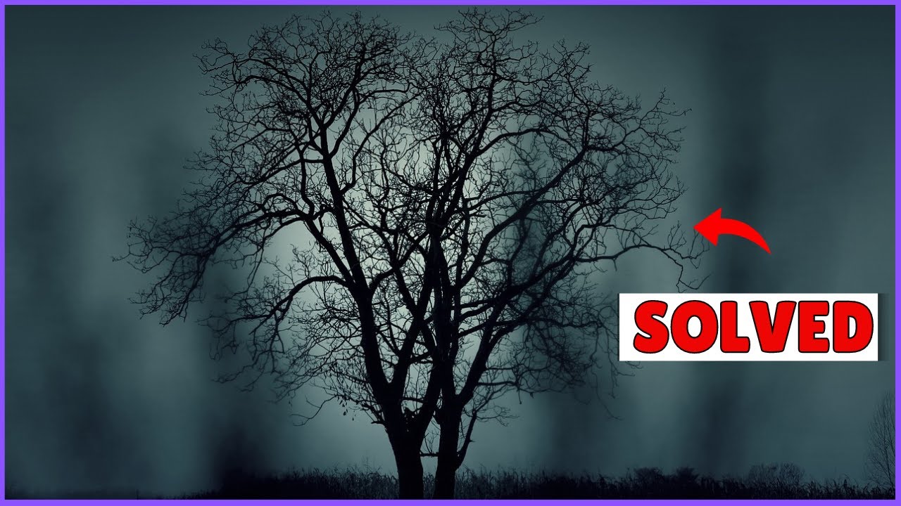 The Tree That Helped Solved A MURDER ( Trailer) - YouTube