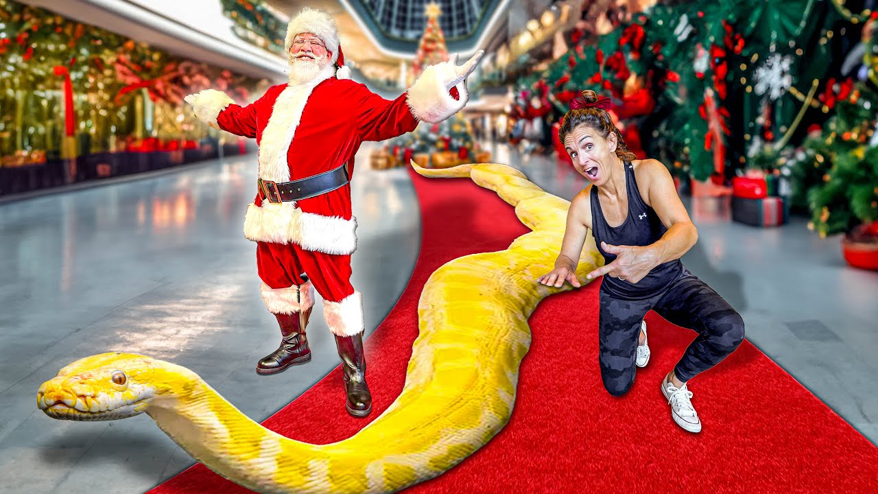 Taking My Giant Snake To Meet Santa Claus! - YouTube