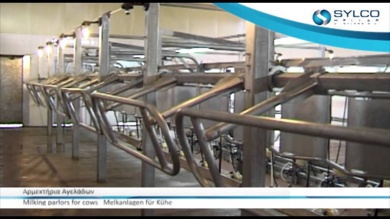 Milking parlor for cows with rotary exit - YouTube