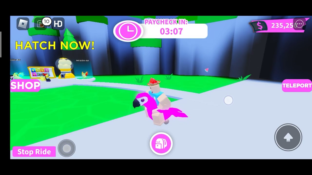 my adopt me custom pets inv(u cn speed up the vid cuz my inv is quite ...