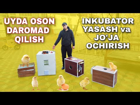 МАНА СИЗГА БИЗНЕС УЙ ШАРОЙИТИДА ИНКУБАТОР БИЗНЕСИ🔥📞994329358 INKUBATOR YASASH VA JOJA OCHIRISH🐣🐥💸💰