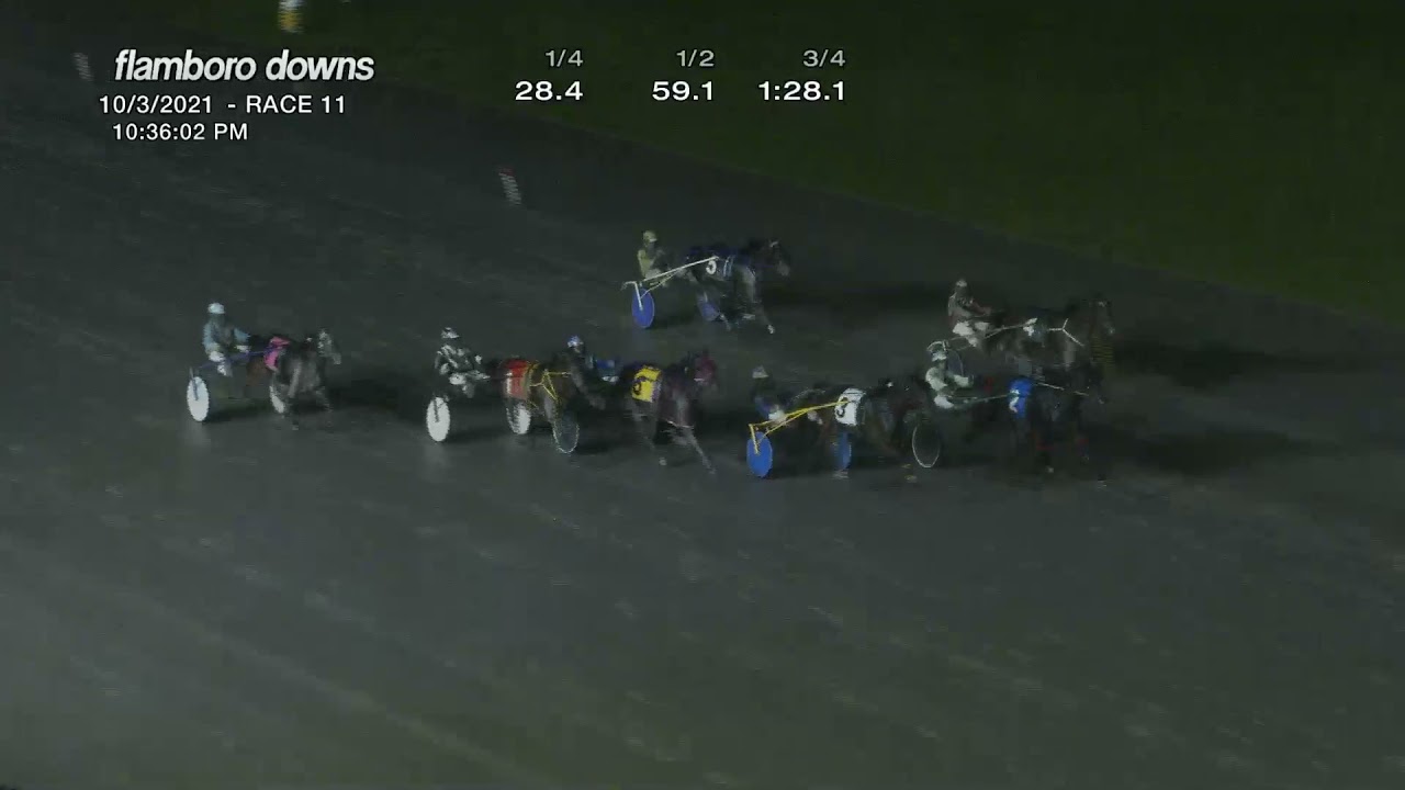 OCT 3,2021-RACE 11-FLAMBORO DOWNS - YouTube