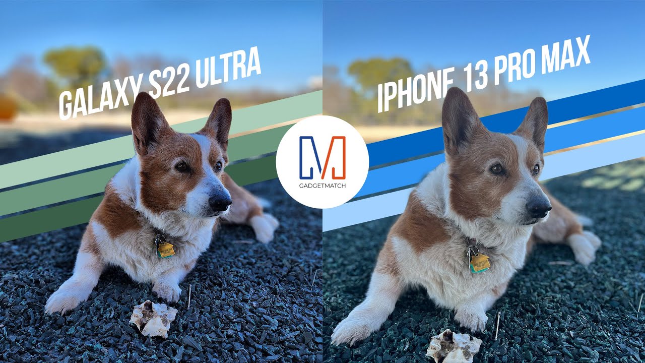 Samsung Galaxy S22 Ultra Vs IPhone 13 Pro Max Camera Shootout YouTube