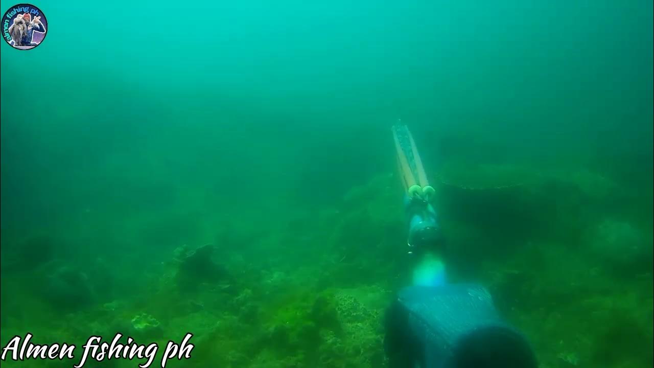 2023 CATCH & SELL EP32 SURAHAN / ILAK / LABAHITA BIYAYA NG DAGAT @almenspearfishingph - YouTube