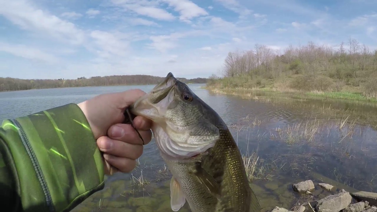 Sight Fishing at Kahle Lake with special guest!!! - YouTube