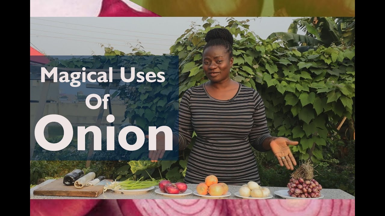 Magic of Onions - YouTube