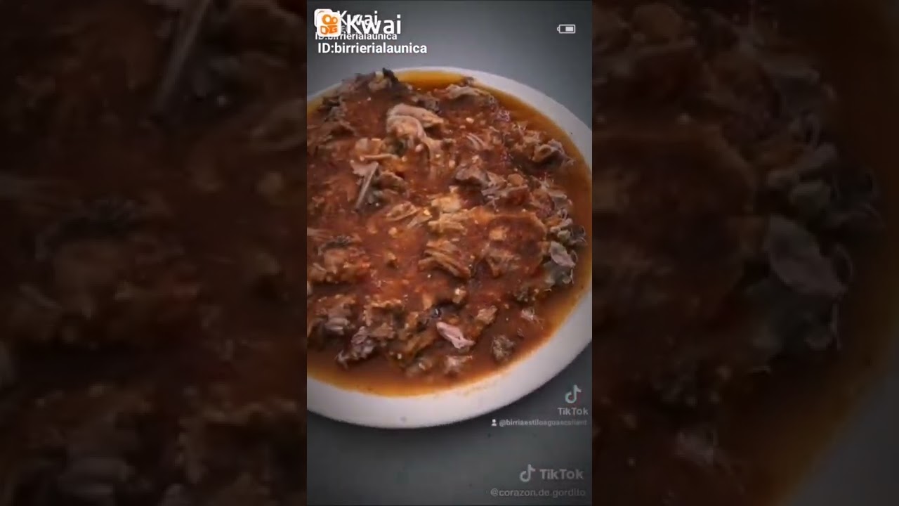 birria estilo aguascalientes birrieria la unica cdmx 5571655310 - YouTube