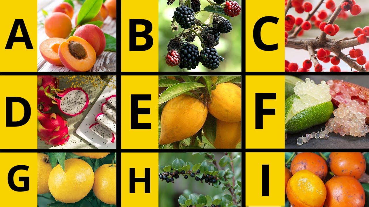 Learn ABC Fruits Song |Learn Alphabets with Fruits for Toddlers &Kids # ...